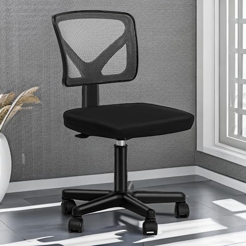 Amazon.com: Office Chair, Armless Desk Chair Mesh, Ergonomic Computer ...