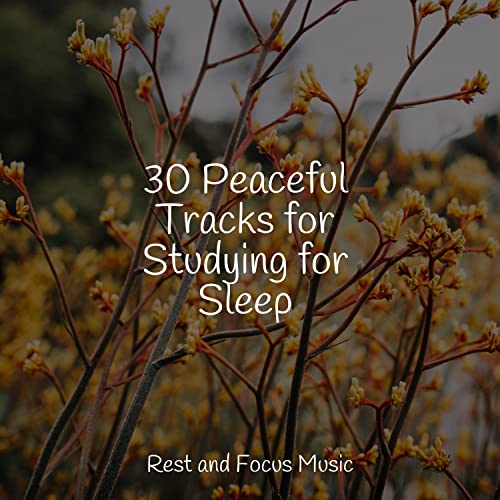 30 Peaceful Tracks for Studying for Sleep by Natureza Musica Bem-Estar ...