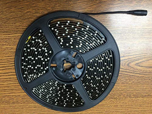 The Campoholics's Amazon Page