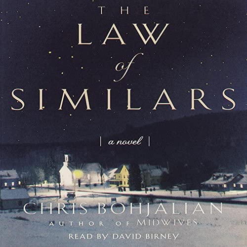 Amazon.com: The Law of Similars: A Novel: A Novel (Audible Audio ...