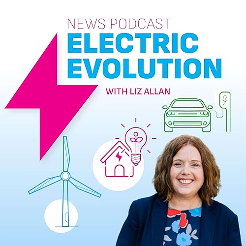 Electric Evolution : Liz Allan Full Circle Continuous Improvement: Amazon.in: Audible Books ...