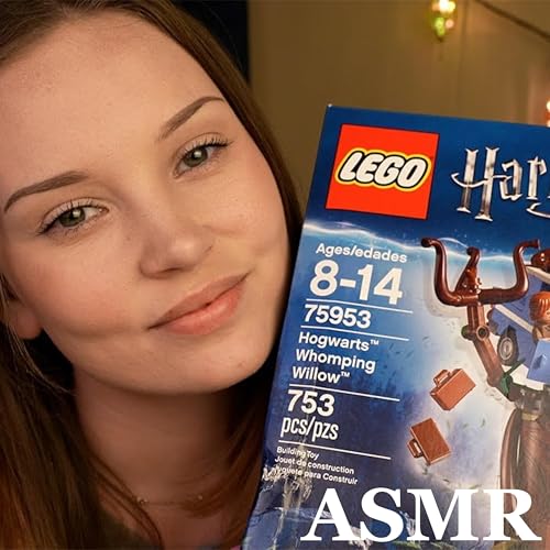 Amazon.com: Building A Lego Harry Potter Set : ASMR Darling: Digital Music