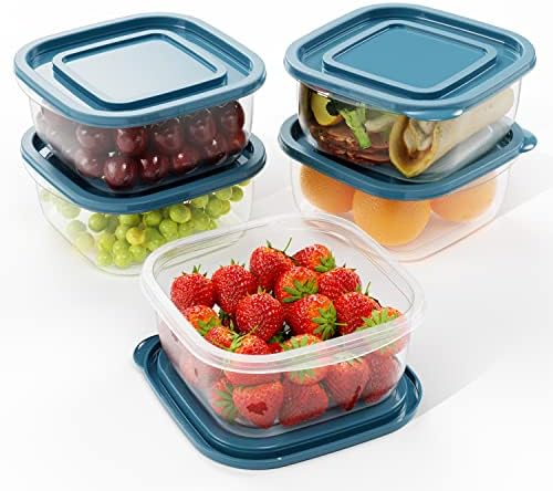 Amazon.com: PEDECO 5PCS Rectangle Plastic Portion Box Sets with Lids ...