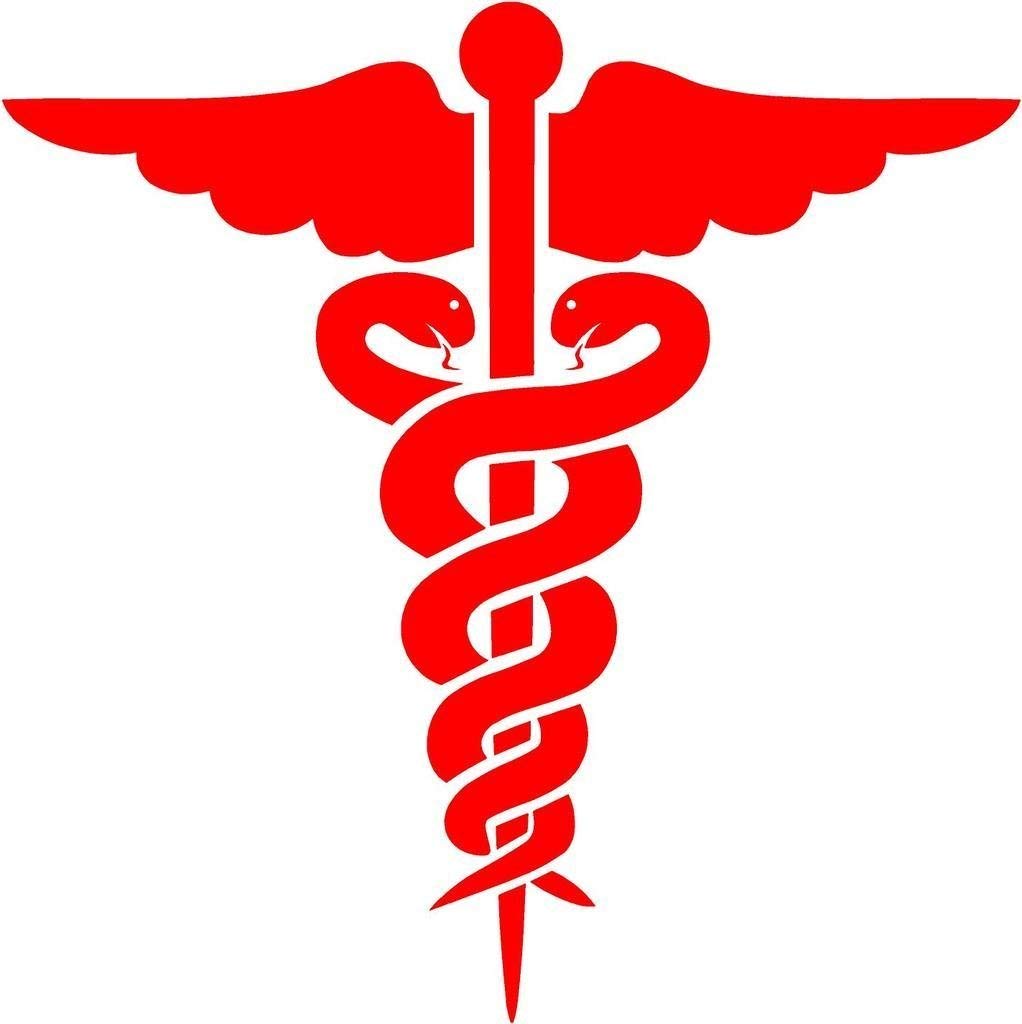 Doctor Snake Logo