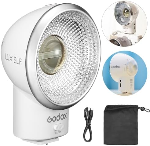 Amazon.com : GODOX Lux Master Retro Camera Flash, 2.4G HSS TTL Retro ...