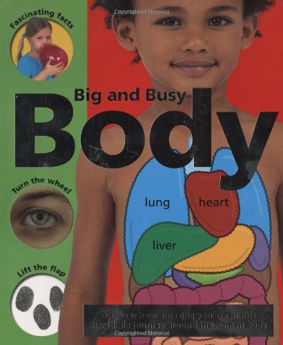 Big and Busy Body: Priddy, Roger: 9780312502249: Amazon.com: Books