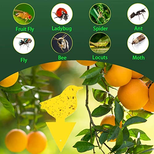 Fly Trap, Yellow Stickers, 50 Pieces, Plug-In Yellow Boards for Potted ...