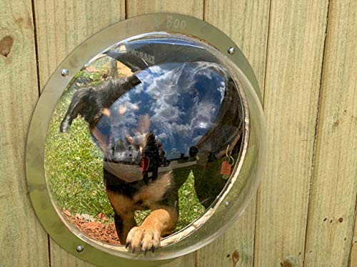 Best 6 Dog Window Guards 2026 - Dog Fluffy