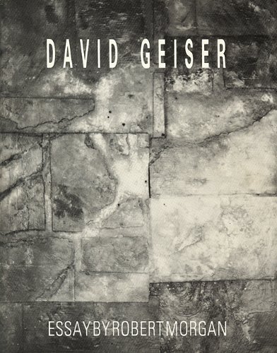 DAVID GEISER: PAINTINGS ’87-‘89: Robert Morgan: Amazon.com: Books