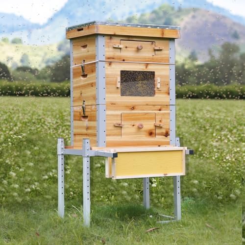 Amazon.com: Bee Hive Boxes,3 Layer Metal Frame Bee House with 10 Medium ...