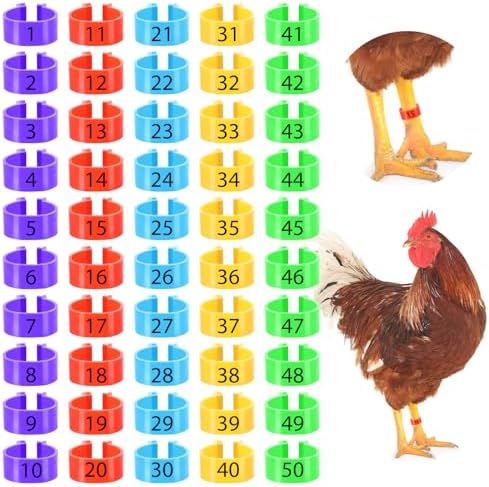 Amazon.com: Wanmu 50Pcs Chicken Leg Bands, 17mm 5 Colors 1-50 Numbered ...