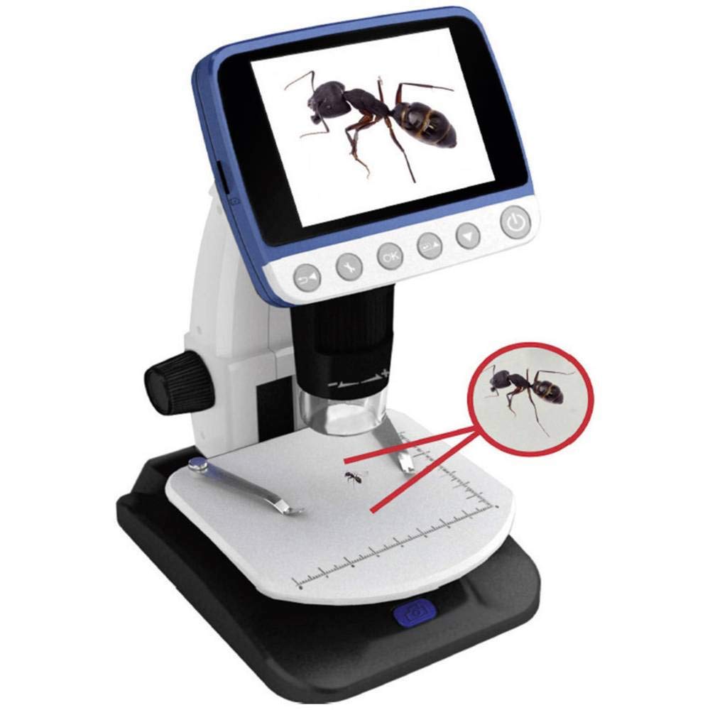 Reflecta Digi Microscope (5MP, 8 LED, 500x Zoom) 3.5 inch LCD : Amazon ...