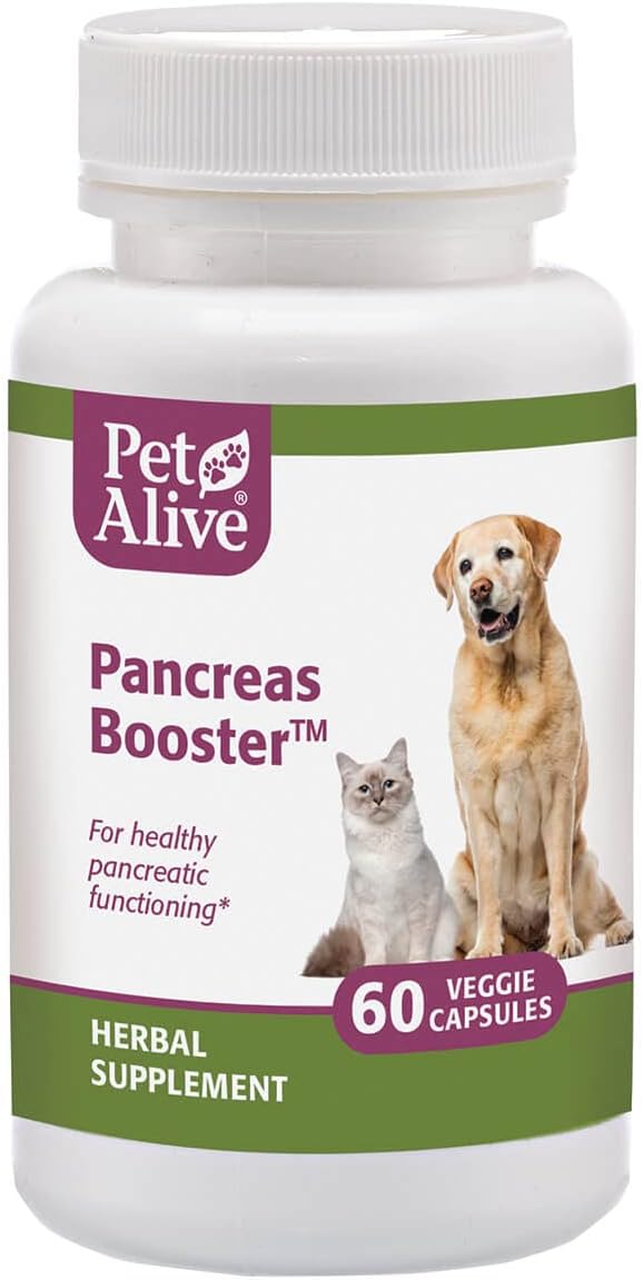 Amazon.com : Kilab Pancreatic Enzymes for Dogs Pancreatin for Dogs and ...