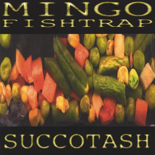 Play Succotash by Mingo Fishtrap on Amazon Music