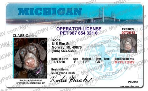 Amazon.com: Pet ID & Drivers License Tag - Michigan: 0013964317169: Pet ...