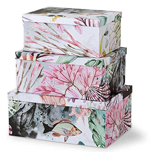 Decorative Storage Boxes by Soul & Lane