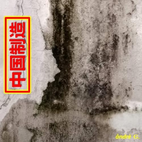 Écouter Made in China par åndrè G. sur Amazon Music Unlimited