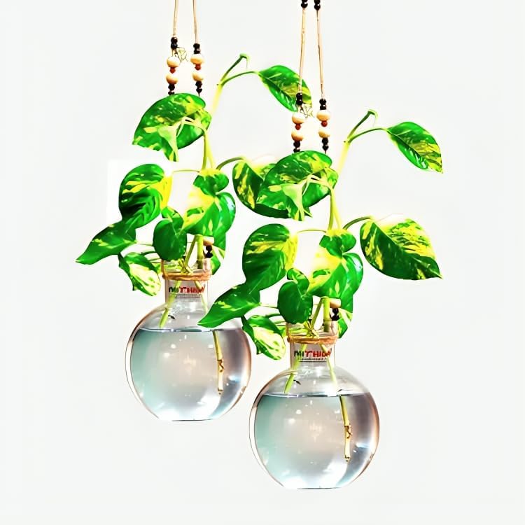 Buy MITHILA HANDICRAFTS Round Glass Vase (Set of 2) Decorative Elegant ...