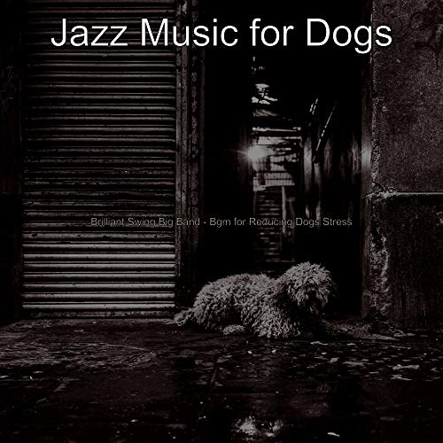 Amazon Music Unlimited - Jazz Music for Dogs 『Brilliant Swing Big Band ...
