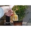 Amazon.com: Haws 10-Ounce Plant Mister, Brass : Patio, Lawn & Garden