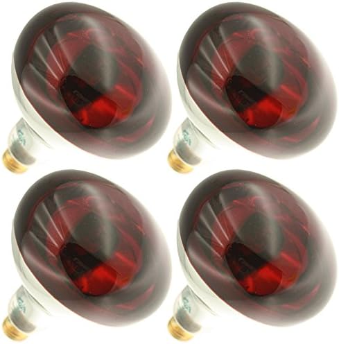 Industrial Performance 250R40/1, 250 Watt, 120 Volt, R40 Glass Size ...