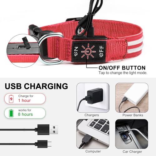 Nepfaivy Light Up Dog Collar – Dog Collar Lights for the Dark Night ...