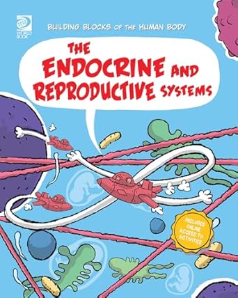 The Endocrine and Reproductive Systems (Building Blocks of the Human ...