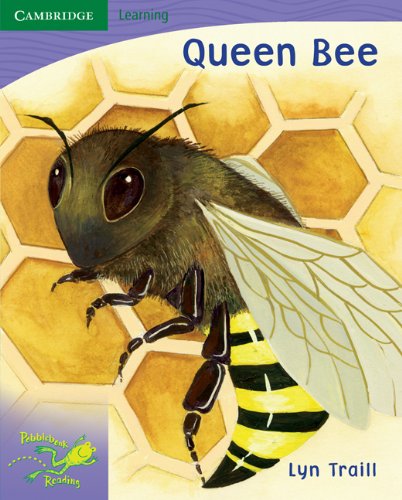 Pobblebonk Reading 6.5 Queen Bee: Traill, Lyn: 9780521710954: Amazon ...