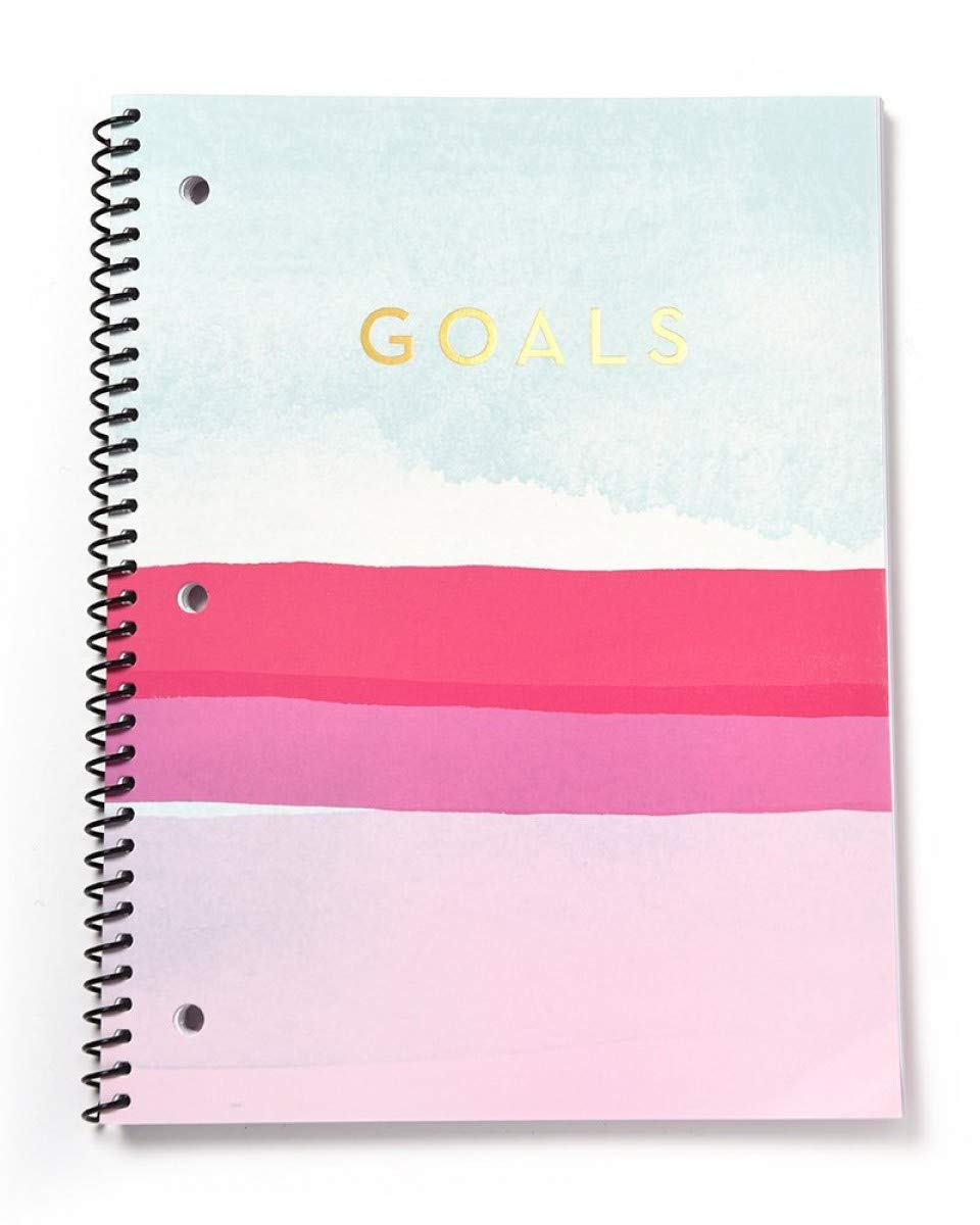 Snapklik.com : Gartner Studios Goals Spiral Notebook, Pink And Blue, 8 By 10.5 Inches, 80 Pages ...