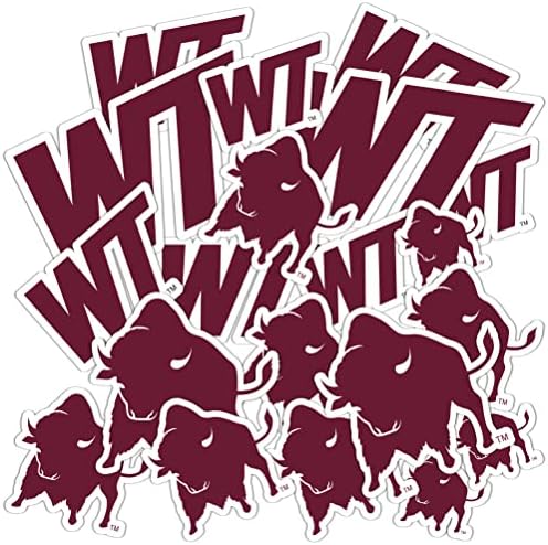 Amazon.com: Desert Cactus West Texas A&M University Sticker WTAMU ...