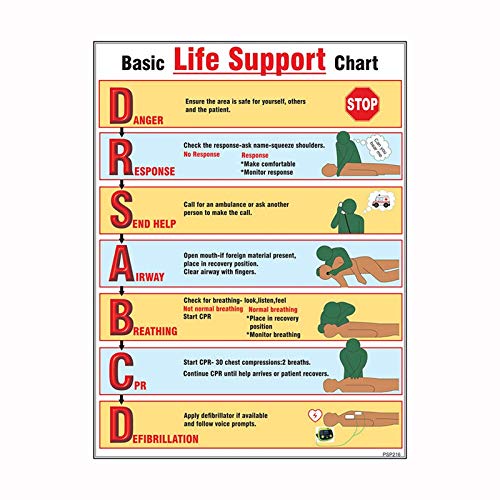 Protector Sign Basic Life Support Chart Poster Set Of 1 : Amazon.in ...
