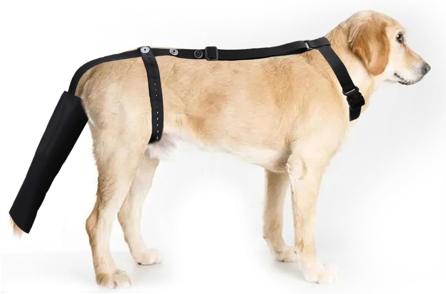 Amazon.com : vomvomp Dog Tail Guard Dogs Tail Protector Bag Dogs Tails ...