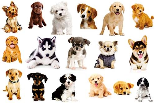 Amazon.com: 17PCS Dogs Wall Sticker 3D Pet Stickers for Kids Wall ...