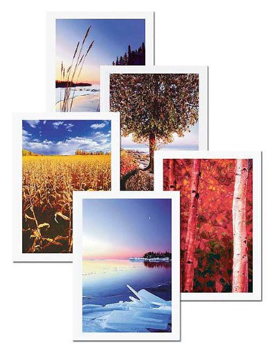 Amazon.com: Luminous Landscapes II Art Cards: 9780980052374: Peter ...