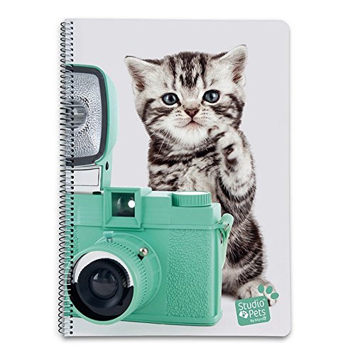 Grupo Erik Editores Studio Pets Cat Camera - A4 Hardback Notebook ...