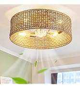 Fandelier Ceiling Fan with Light, 20 Inch Rattan Fans 。Remote Control ...