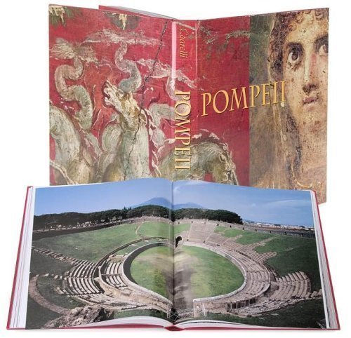 Pompeii: Amazon.co.uk: Unknown: 9780760784754: Books