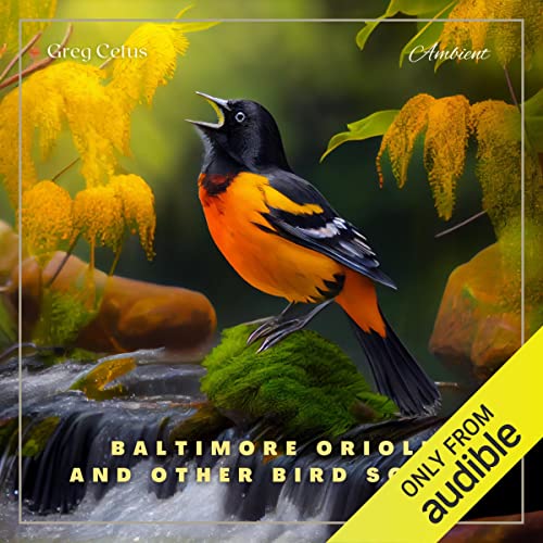 Amazon.com: Baltimore Oriole and Other Bird Songs: Nature Sounds for ...