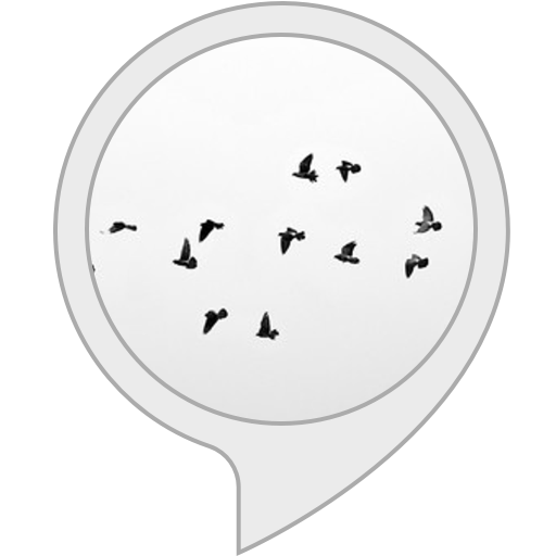 Amazon.in: Bird Sounds : Alexa Skills