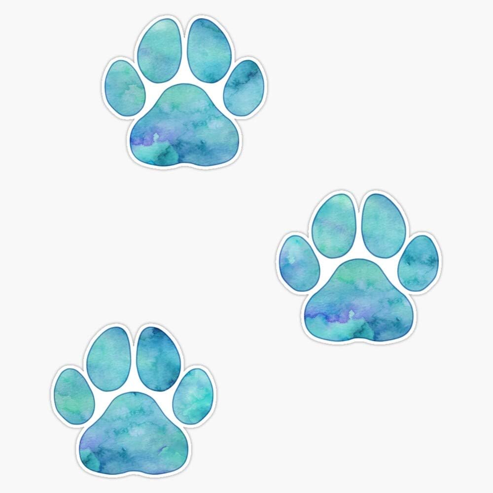 Amazon.com - Blue Watercolor Paw Prints Sticker Decal Vinyl Bumper ...