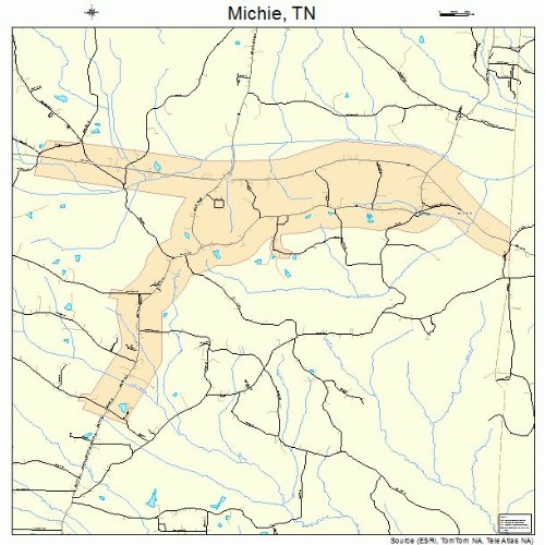 Amazon.com : Large Street & Road Map of Michie, Tennessee TN - Printed ...