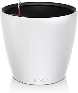 Amazon.com : LECHUZA - Classico Color LS 14260 Planter with Irrigation ...