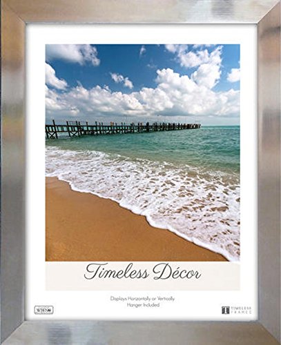 Timeless Frames Stainless Frame, 16" x 20", Pewter : Amazon.in: Home ...