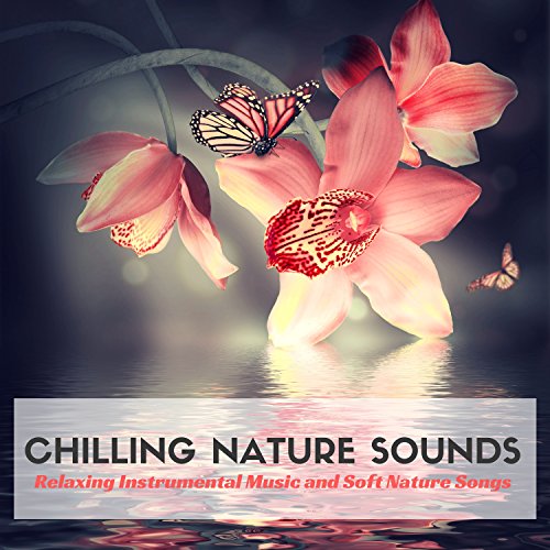 Amazon.com: Chilling Nature Sounds - Relaxing Instrumental Music and ...
