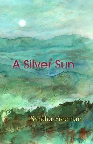 A Silver Sun: Sandra Freeman: 9781780032870: Amazon.com: Books
