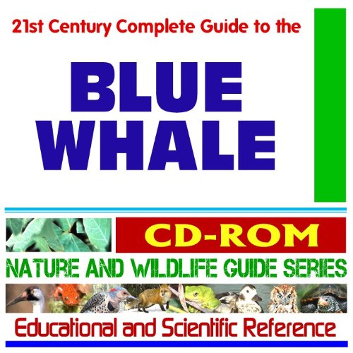 21st Century Complete Guide to the Blue Whale (Balaenoptera Musculus ...