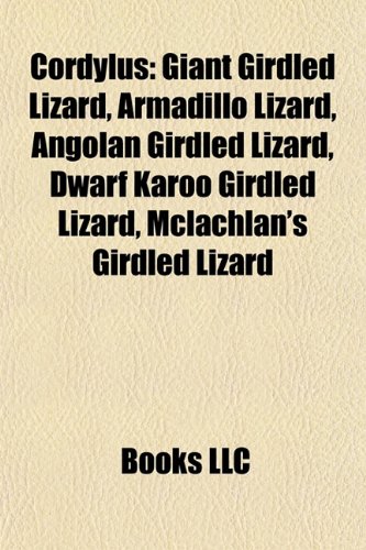 Cordylus Cordylus: Giant Girdled Lizard, Armadillo Lizard, Angolan ...