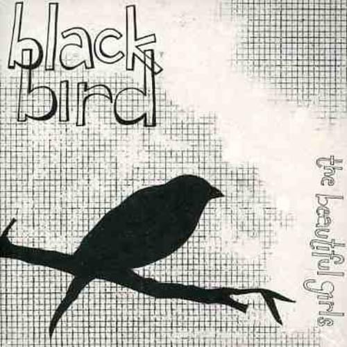Amazon.com: Blackbird: CDs & Vinyl