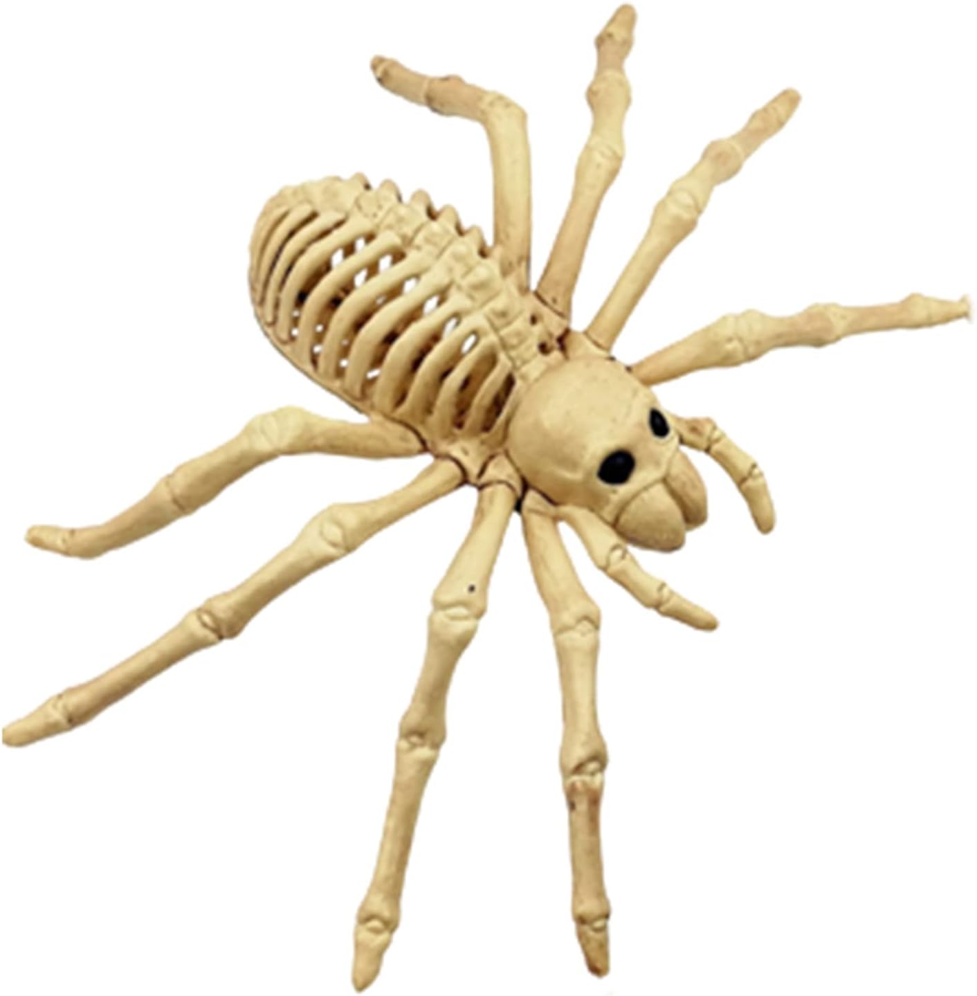 Amazon.com : Kripyery Spider Skeleton Set Halloween Spider Decorations ...