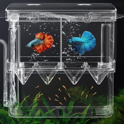 ANIMAUX – Aquarium Fish BREEDING Box with Suction Cups | in-Tank Double ...